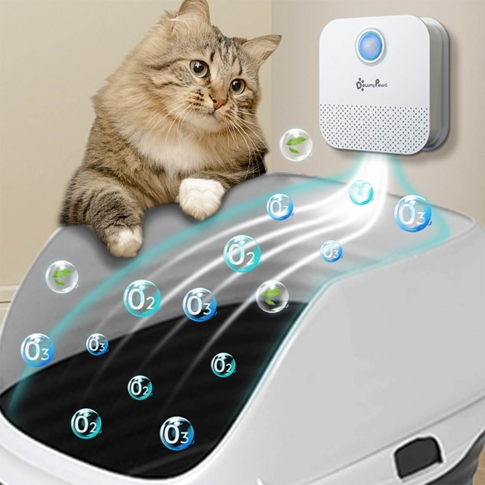 Kitten Litter Box Litter Box Deodorizer Odor Eliminator Litterbox ...
